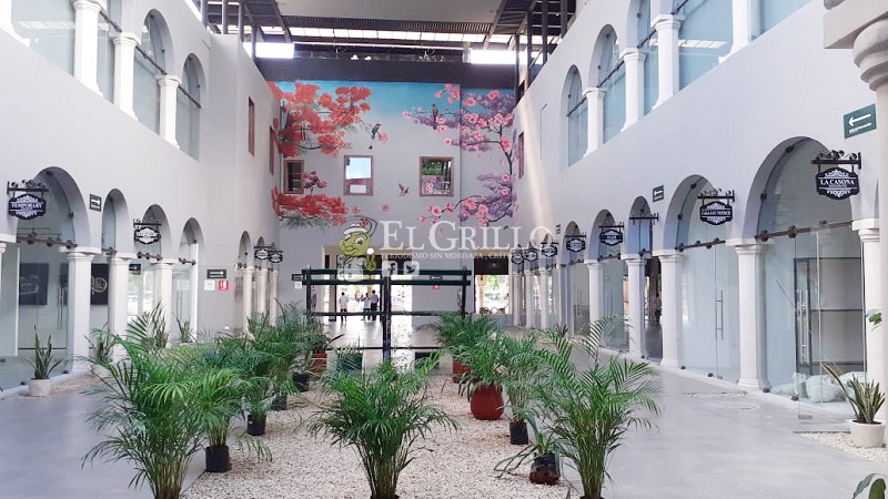 Luego de dos años, reabre sus puertas al público el Pasaje Picheta | El ...