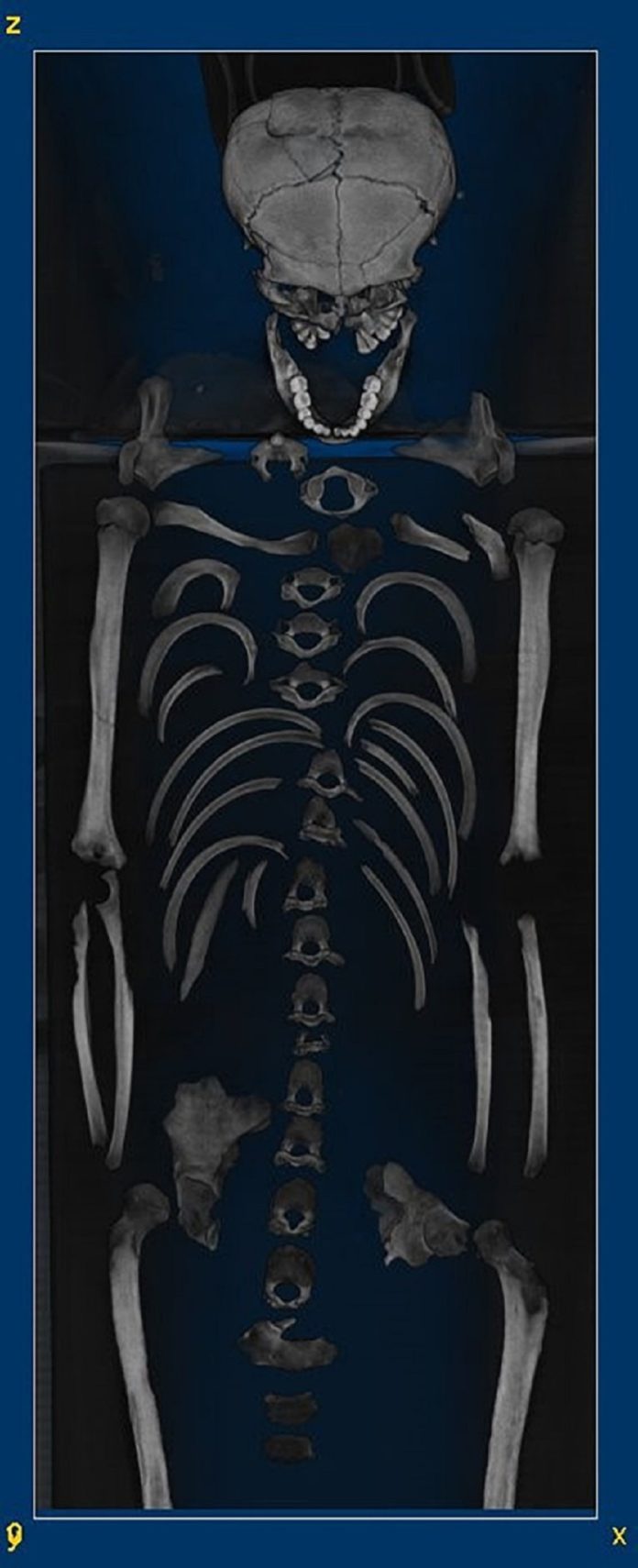 Investigadores del INAH analizan restos óseos y 19 mil objetos que ...