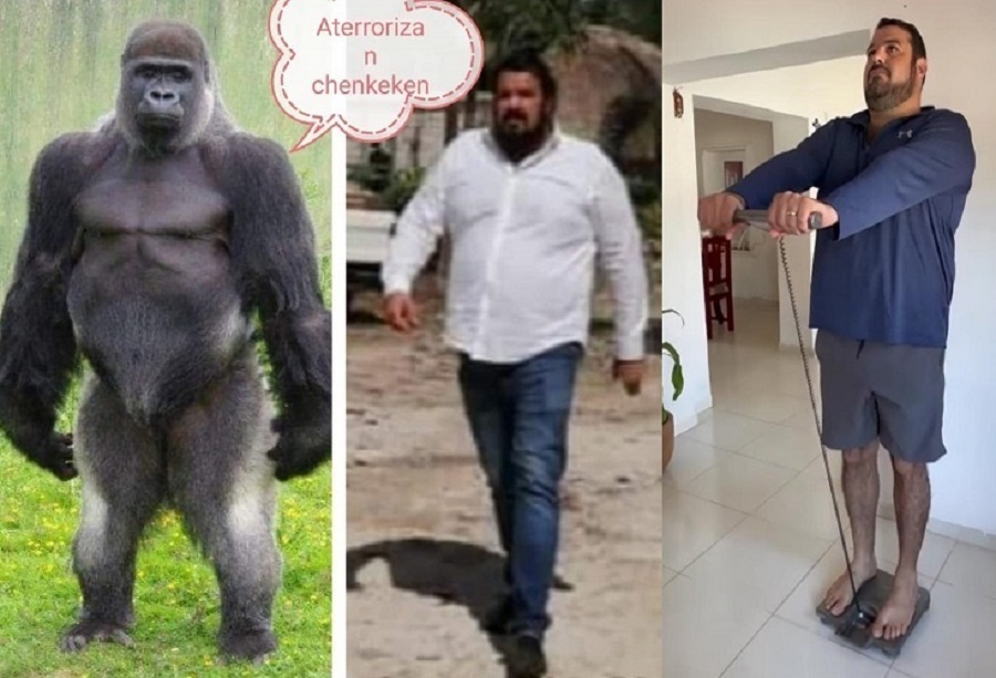 Diputado millonario saluda con sombrero ajeno: “El Simio Macari” regala lo que le regalan | El ...