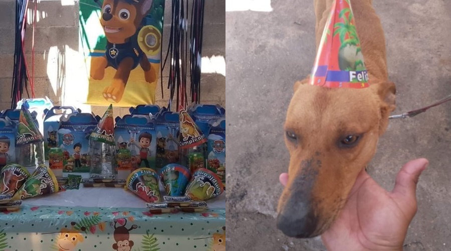 Paw Patrol, tema de la fiesta del perro malix “Teiron”, en Santa Clara ...