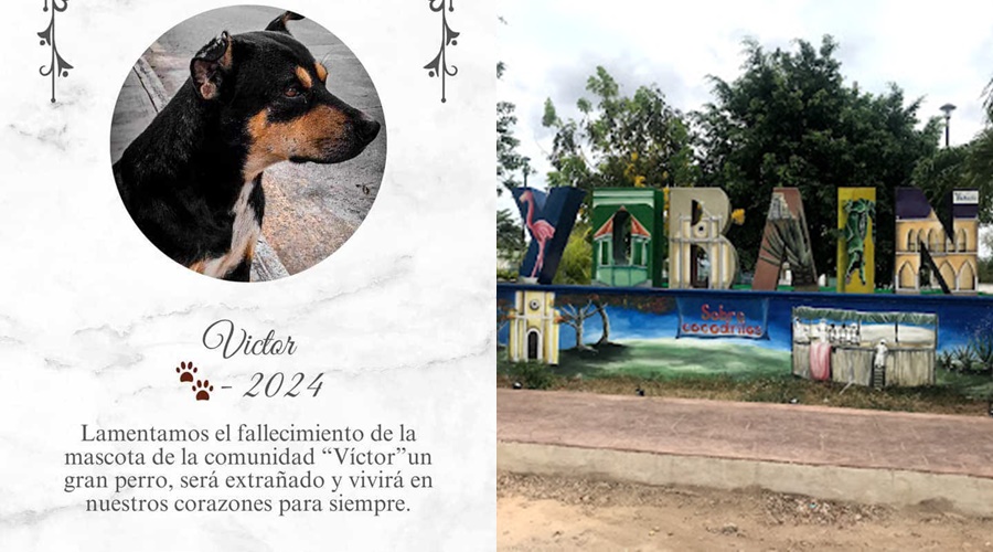 Víctor era un callejero y el personaje de cualquier hogar… era el perro ...